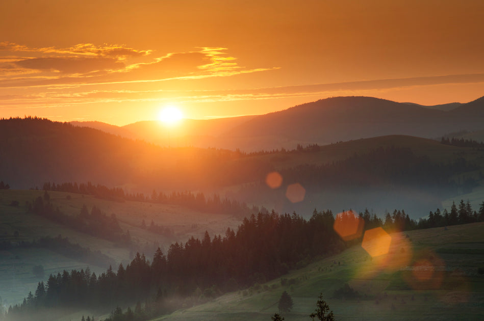 Here's THE Greatest Survival Tip I Ever Discovered – Ultimate Survival Tips